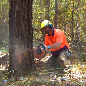 CHAINSAW TRAINING – Australian Operator Training