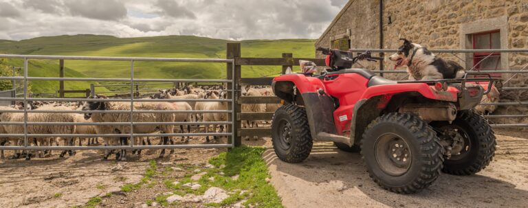 Quad Bike – Australian Operator Training